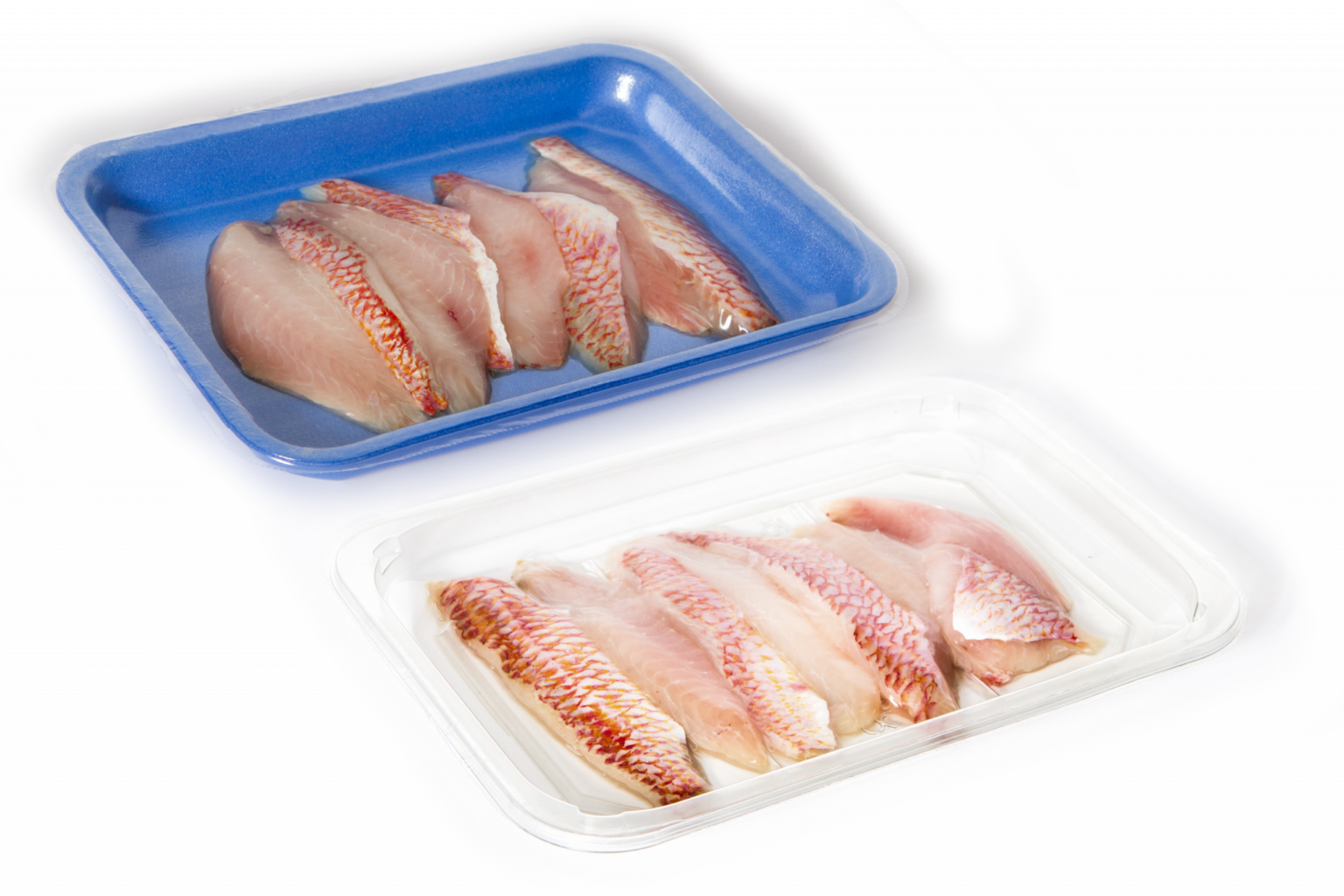 Packaging materials - Trays, cups and films - ILPRA Middle East